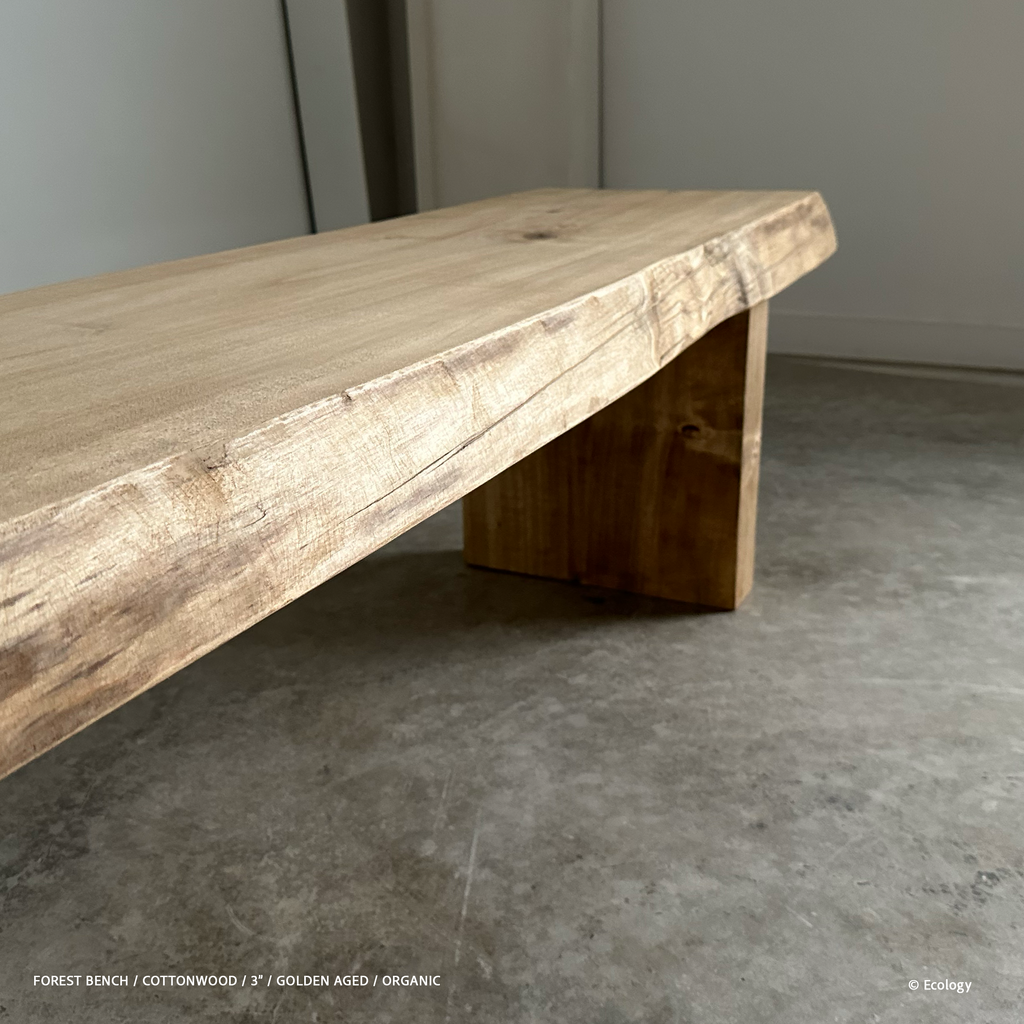 Forest Bench – Ecology