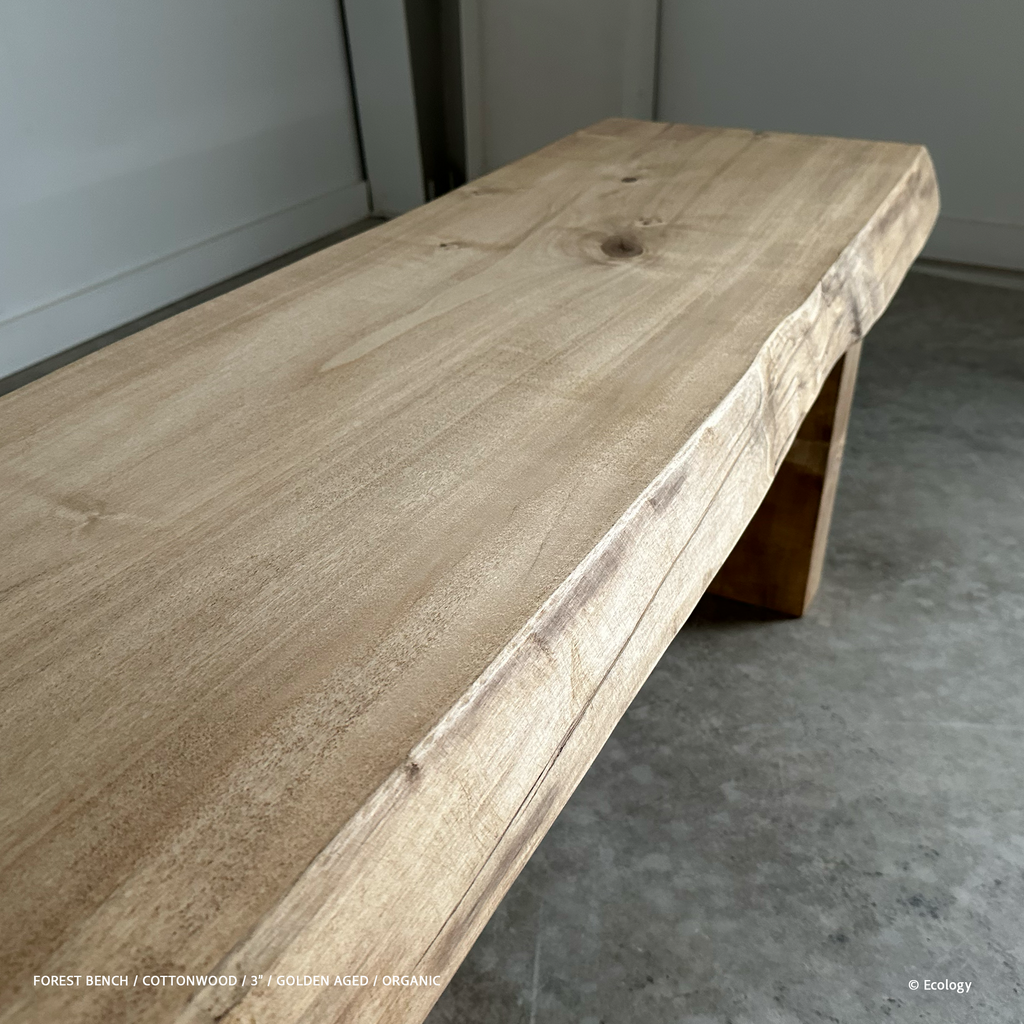 Forest Bench – Ecology