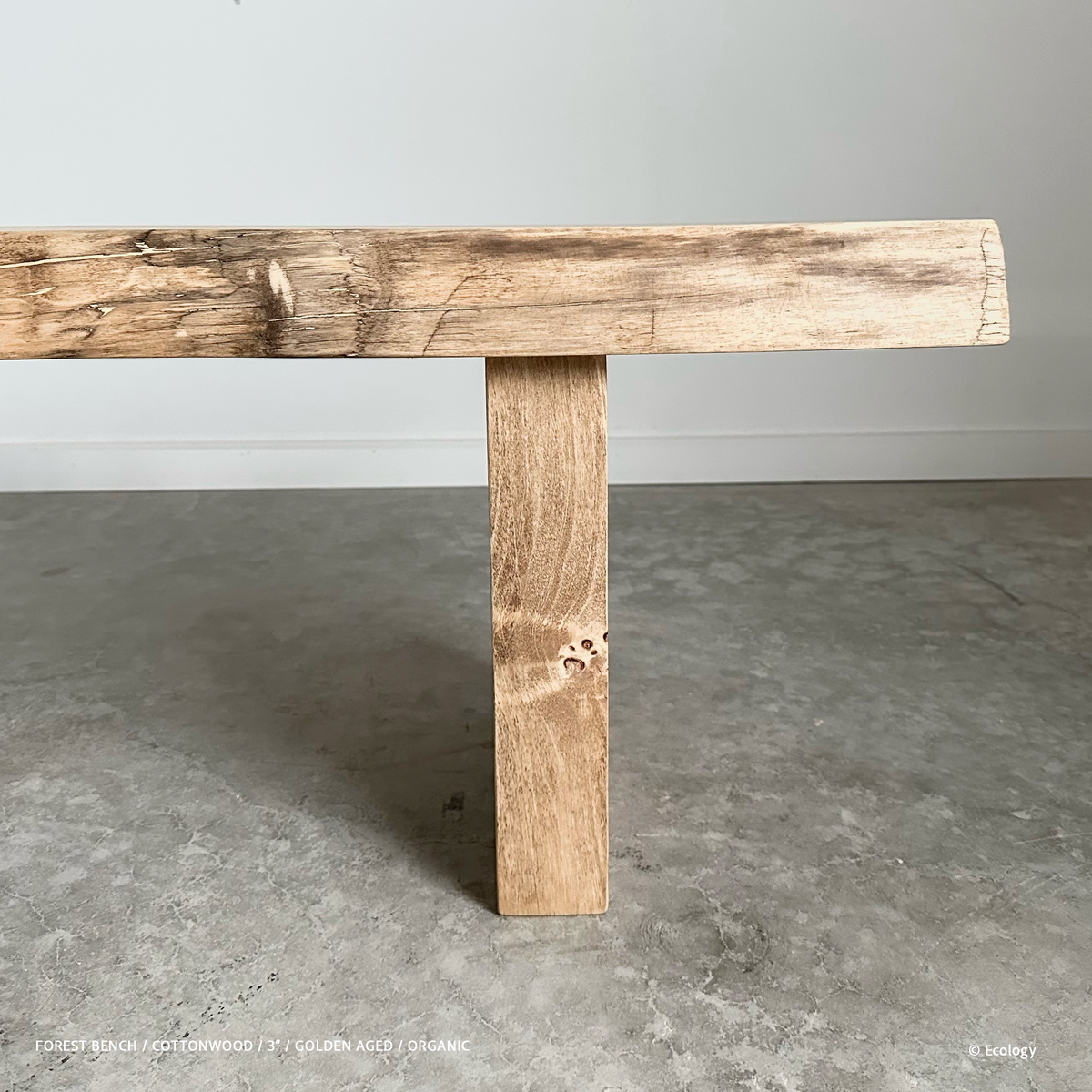 Forest Bench – Ecology