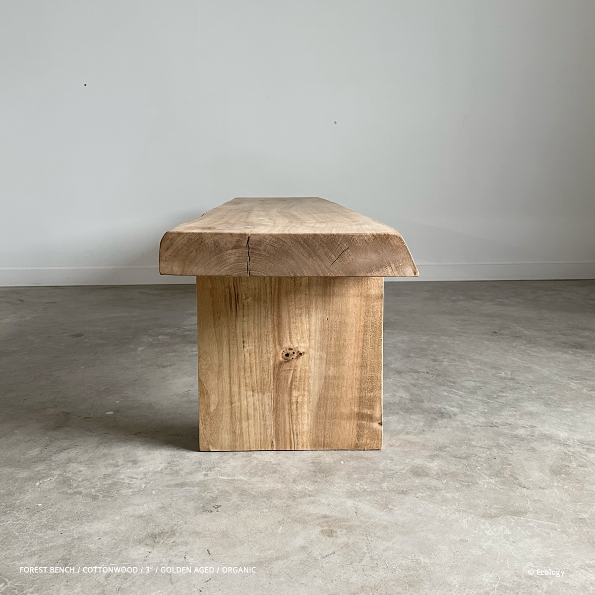 Forest Bench – Ecology