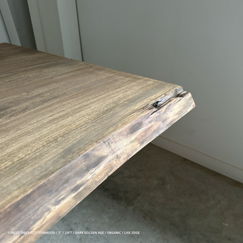 Forest Table – Ecology