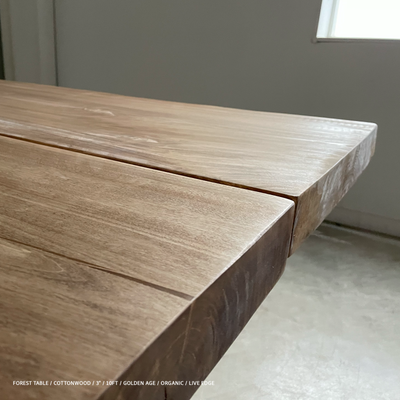 Forest Table – Ecology