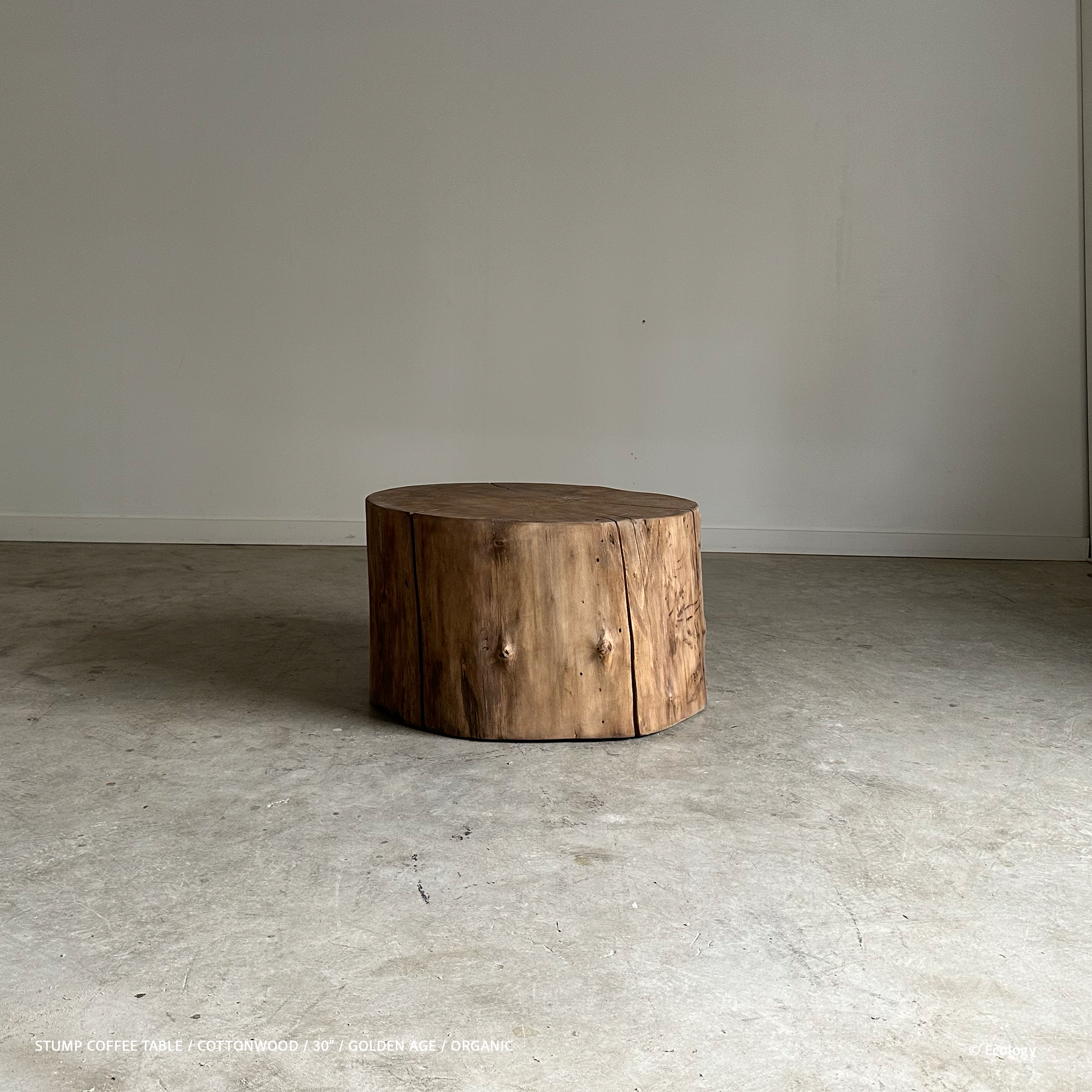 Stump Coffee Table – Ecology