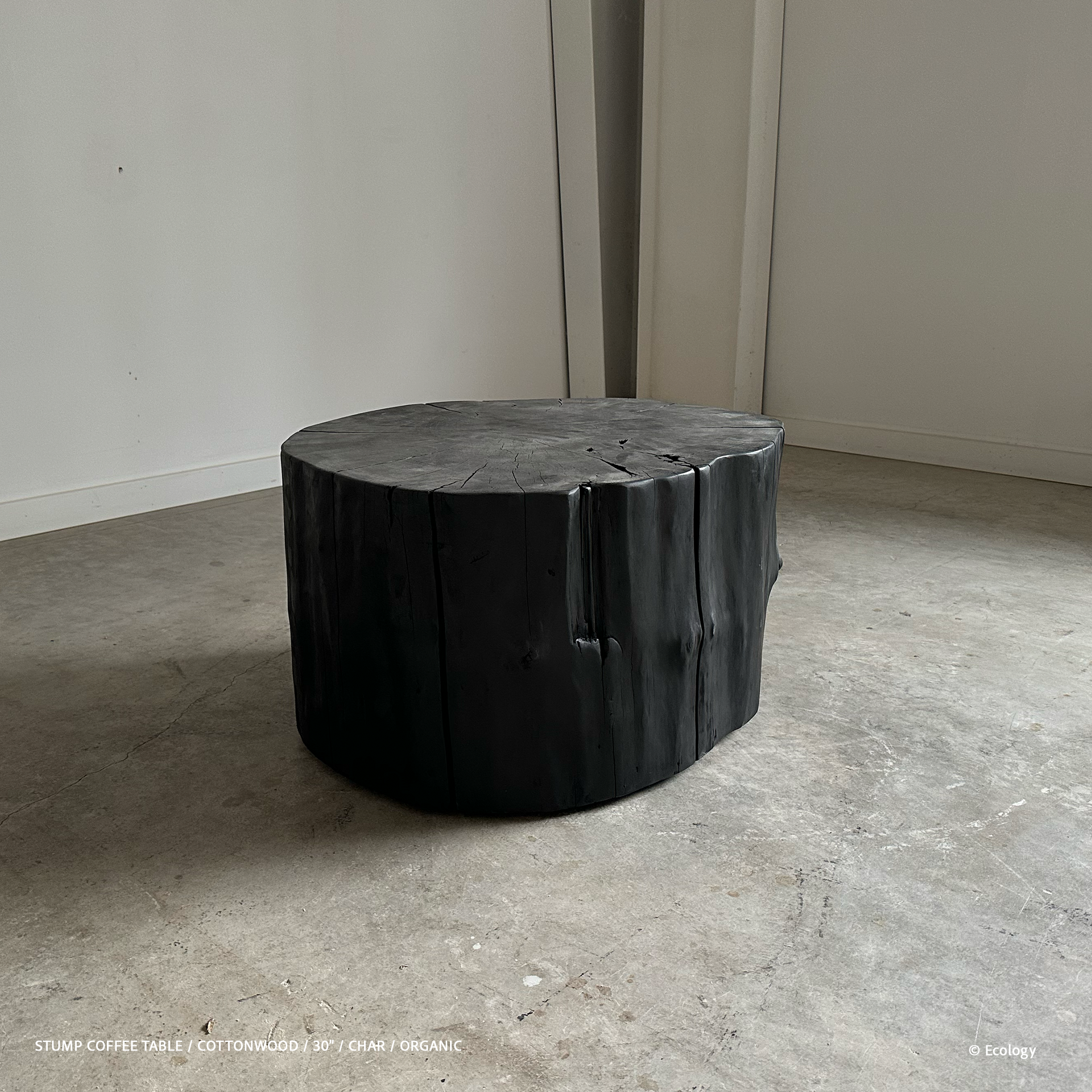 Stump Coffee Table – Ecology